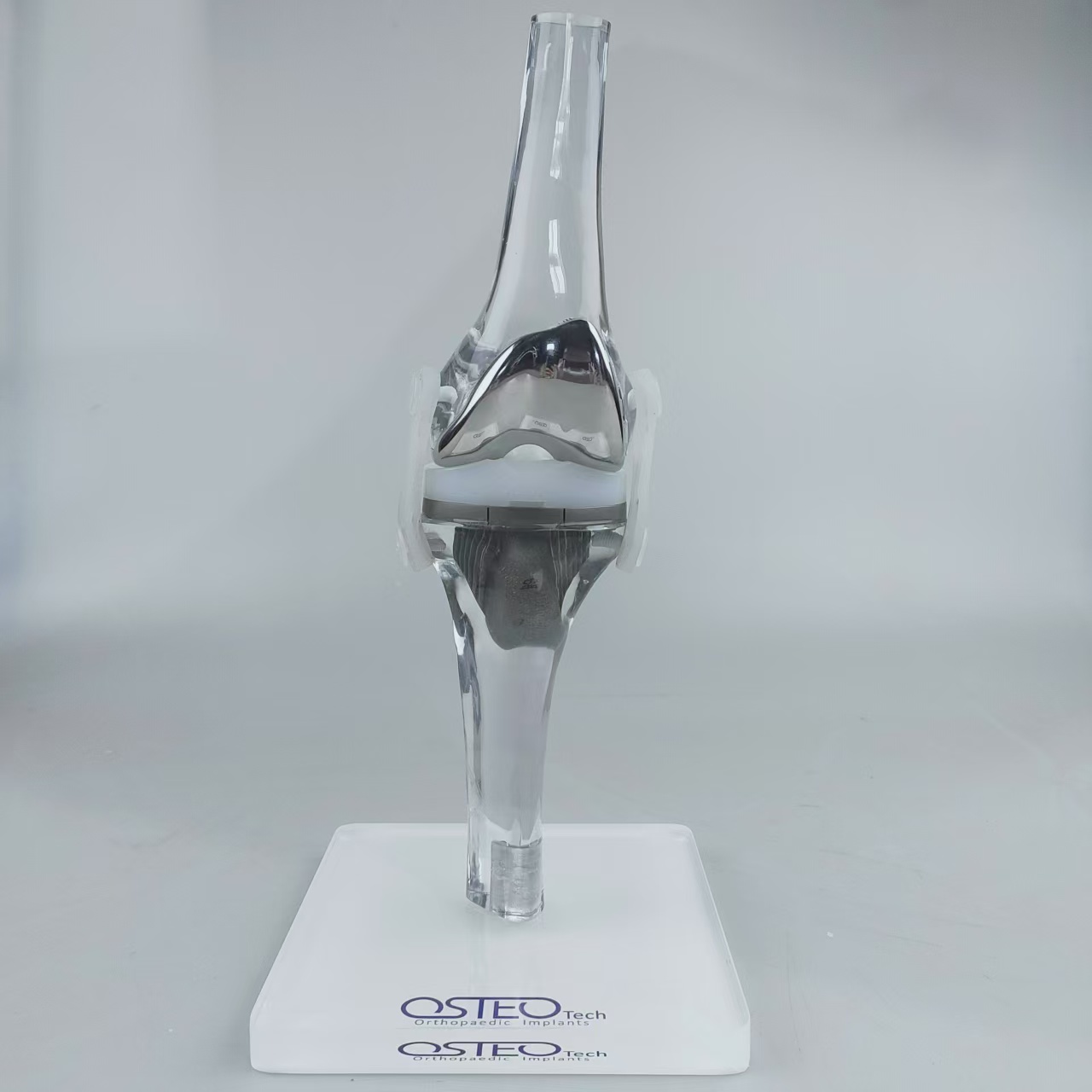 Knees Joint Models Display - Orthopedic Models -Biomechanics -Sports ...