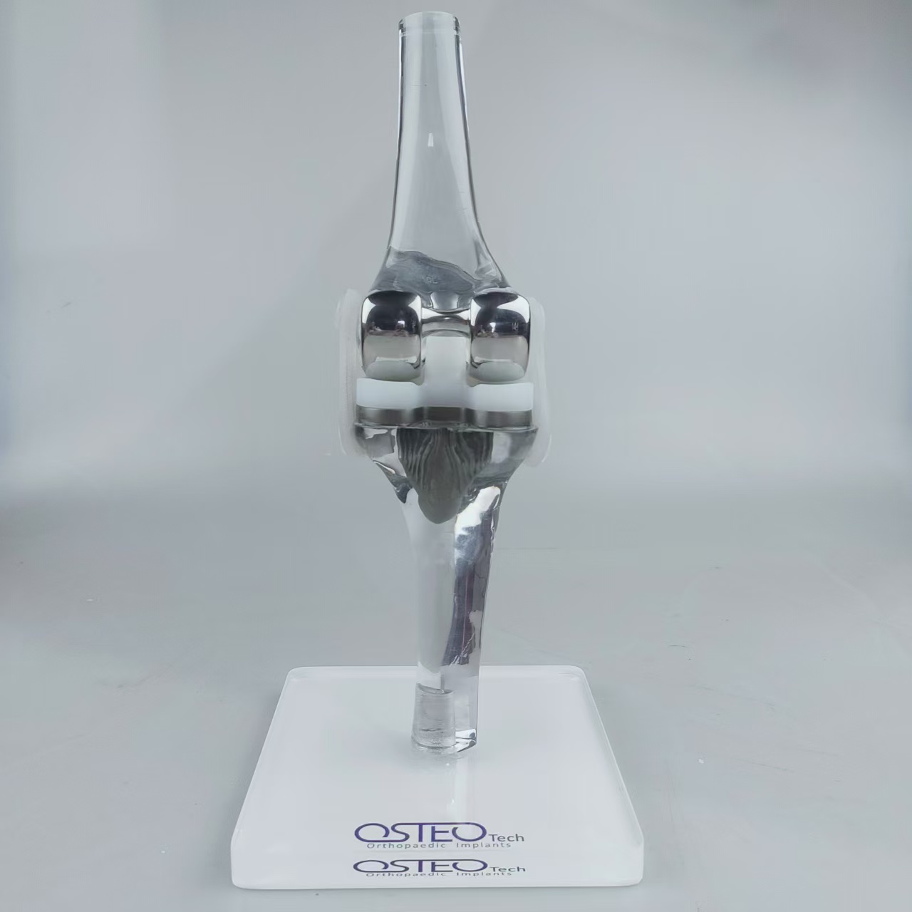 Knees Joint Clear bone Models - Orthopedic Models | Medical Training ...