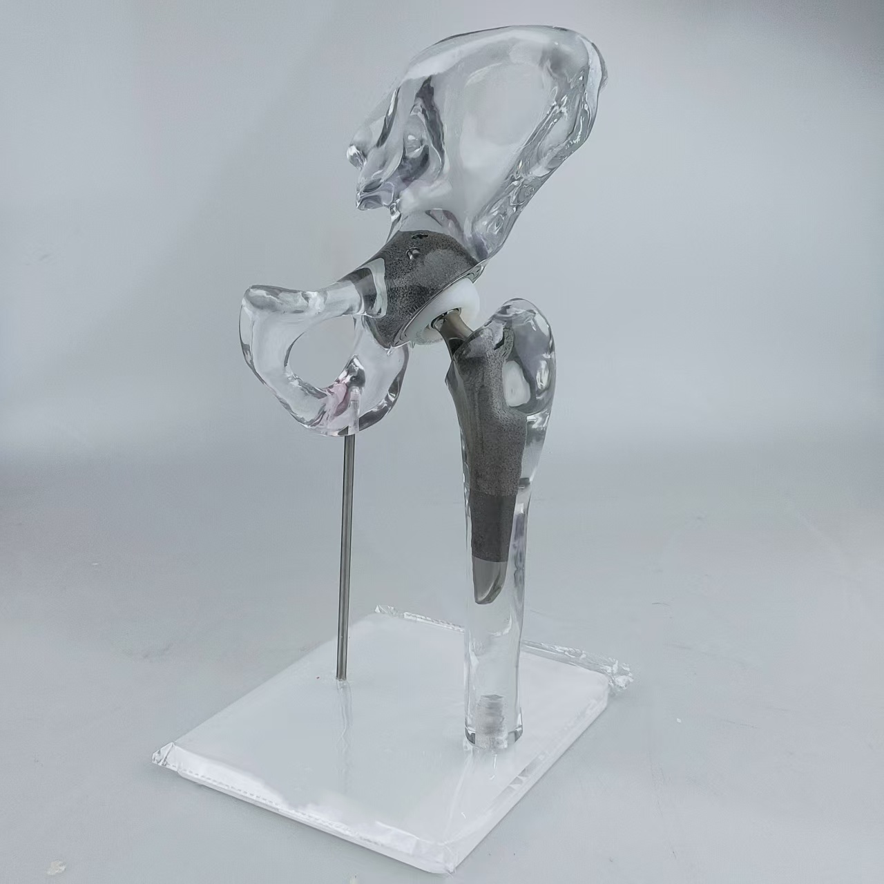Clear Bone-Hip replacement - Orthopedic Models -Biomechanics -Sports ...