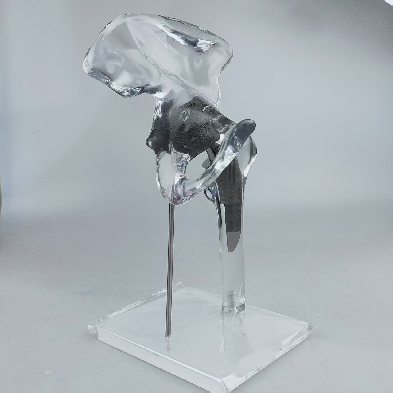 Clear Bone-Hip replacement - Orthopedic Models -Biomechanics -Sports ...