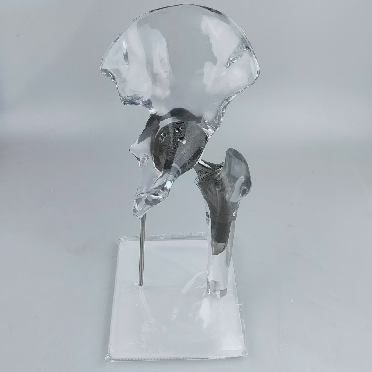 Clear Bone-Hip replacement - Orthopedic Models -Biomechanics -Sports ...