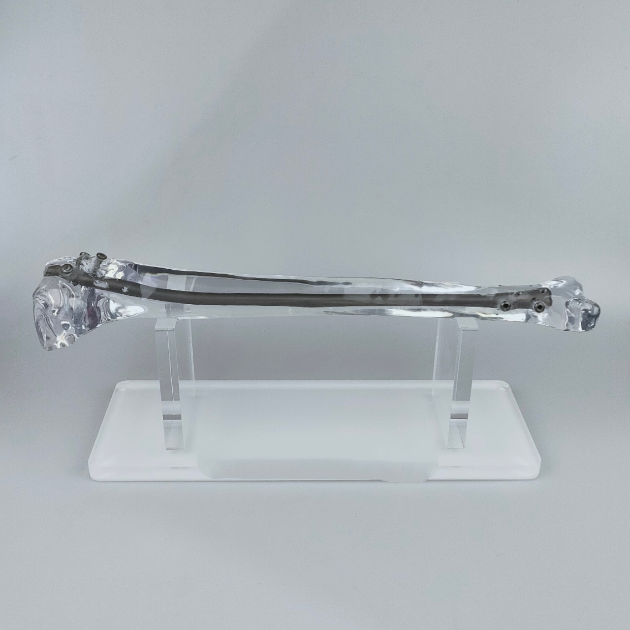 Clear bones-Trauma tibia - Orthopedic Models -Biomechanics -Sports ...
