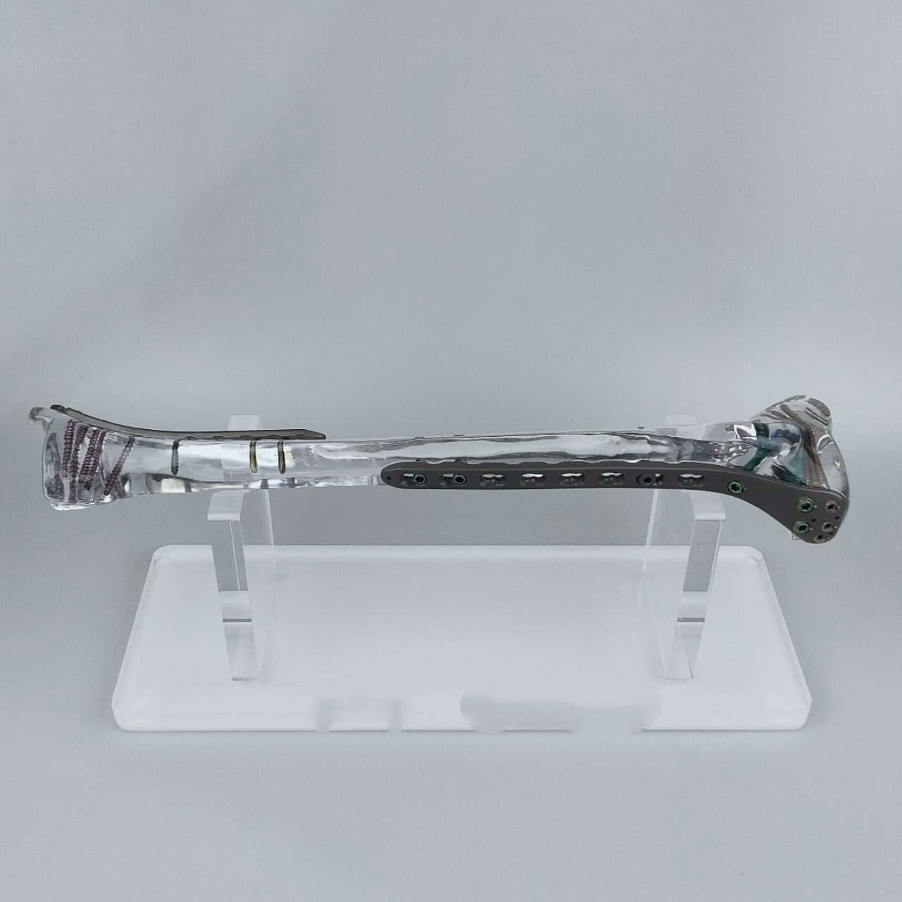 Clear bones-Trauma tibia - Orthopedic Models | Medical Training ...